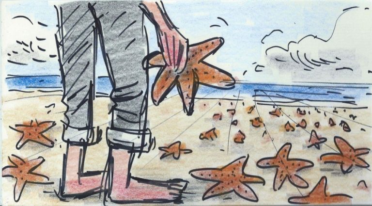 The Starfish Story - Operation Safe Escape